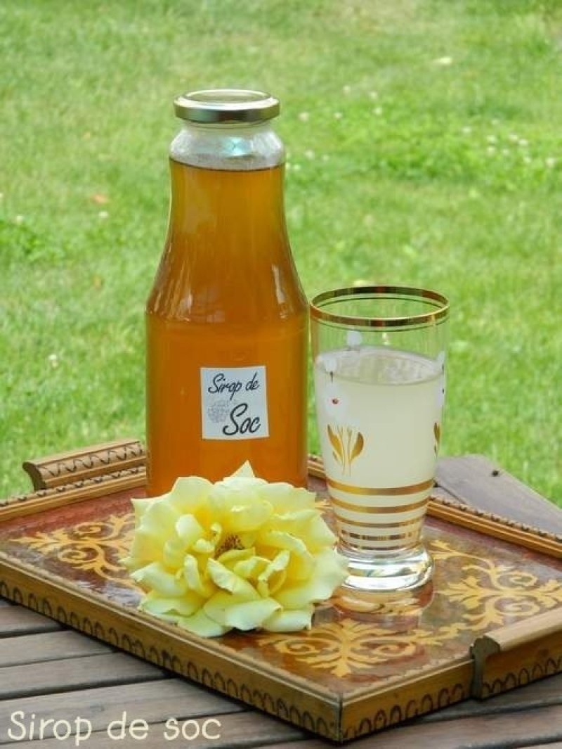 Sirop de soc | Retete culinare | Gustos.ro
