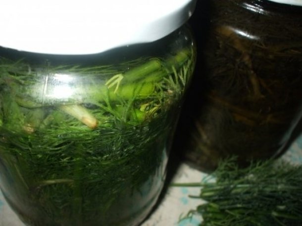 Marar in otet | Retete culinare | Gustos.ro