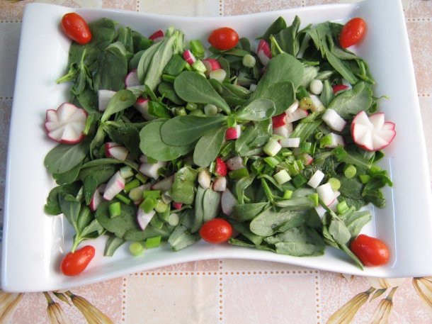 Salata de laptuci | Retete culinare | Gustos.ro