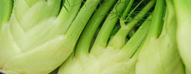 Cum să găteşti cu fenicul | Sa mancam sanatos | Gustos.ro