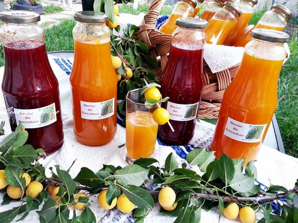 Nectar de corcoduse | Retete culinare | Gustos.ro