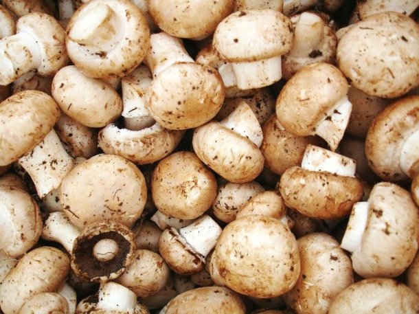 Cum se curata corect ciupercile | Sfaturi practice | Gustos.ro