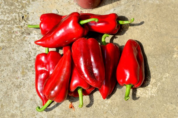 Ce poti sa gatesti cu ardei capia - cele mai bune 10 retete | Sfaturi ...